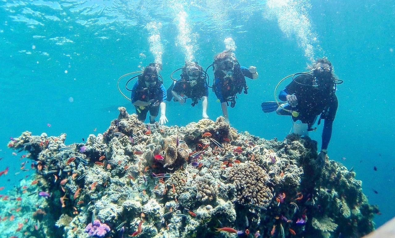 Love at First Dive | TravelStore