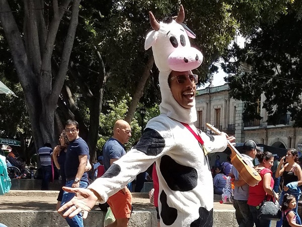 Wonderful, Historic Oaxaca: Part 2 | TravelStore