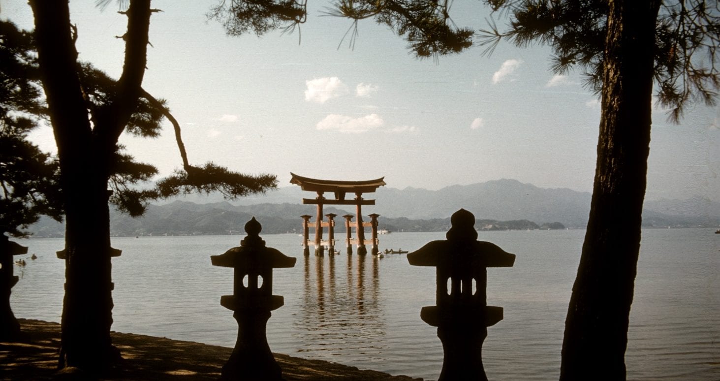 Why Africa? An Interview with Sherwin Banda from African Travel Inc ...