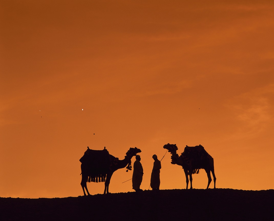 Sunset Camel Trek or Quad Bike | TravelStore