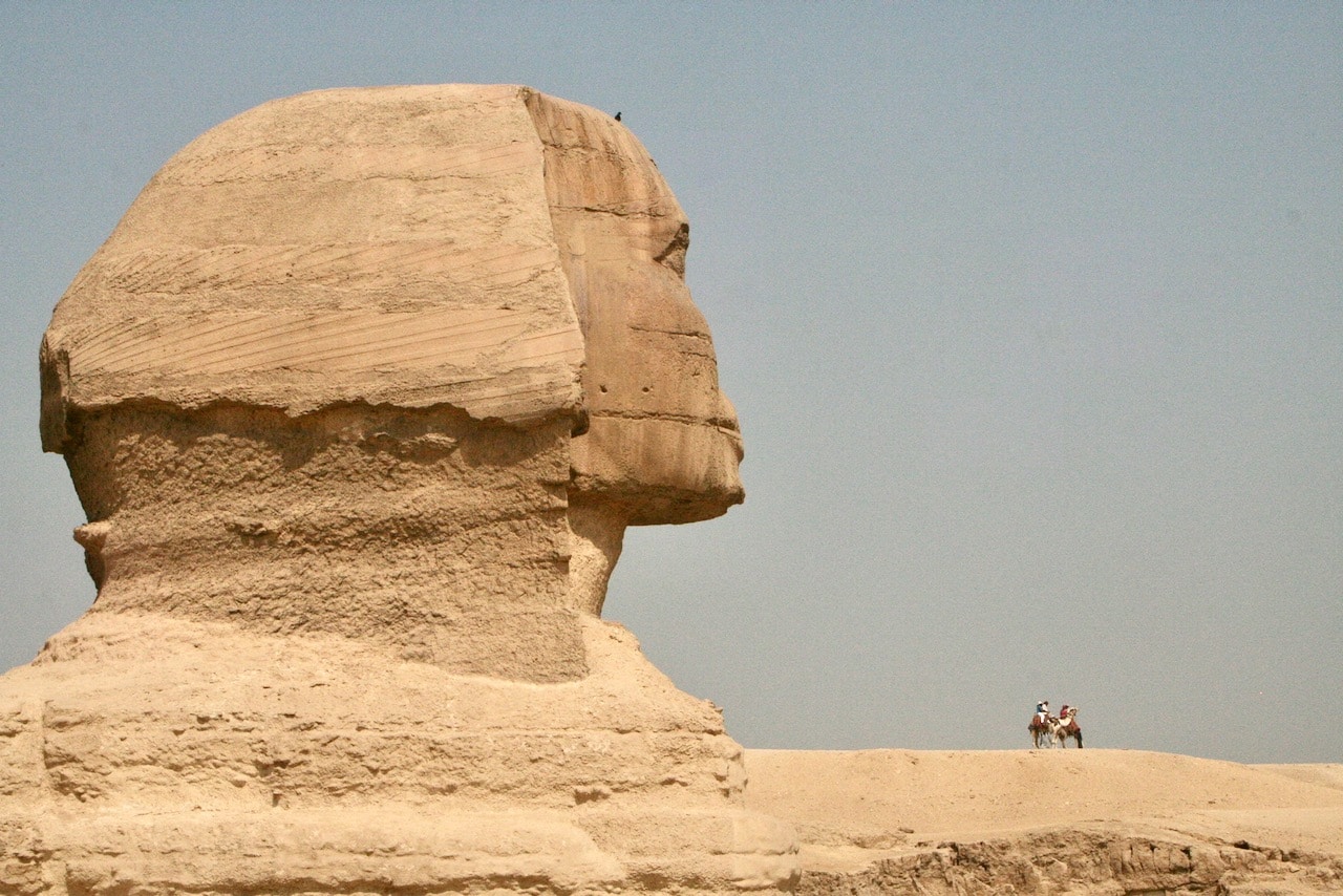 Special Access: Paws of the Sphinx | TravelStore