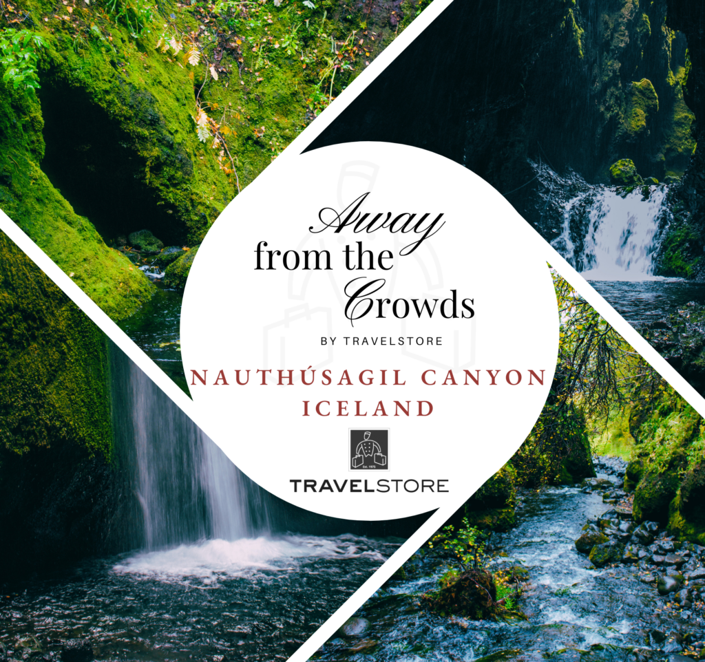 Iceland’s Hidden Canyon of Nauthúsagil | TravelStore