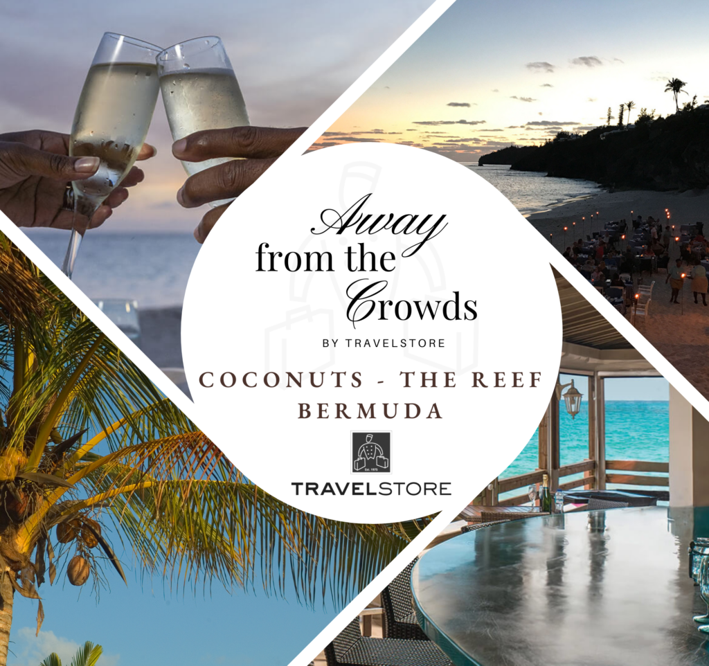 Sand Dining Under the Stars in Bermuda | TravelStore