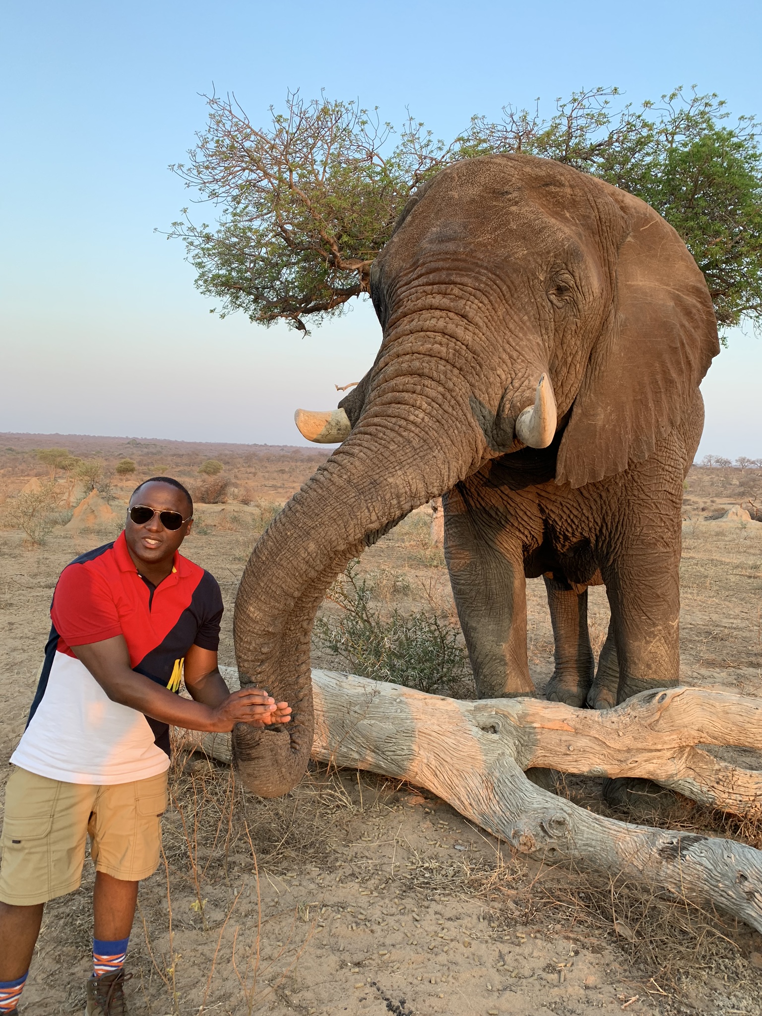Why Africa? An Interview with Sherwin Banda from African Travel Inc. | TravelStore